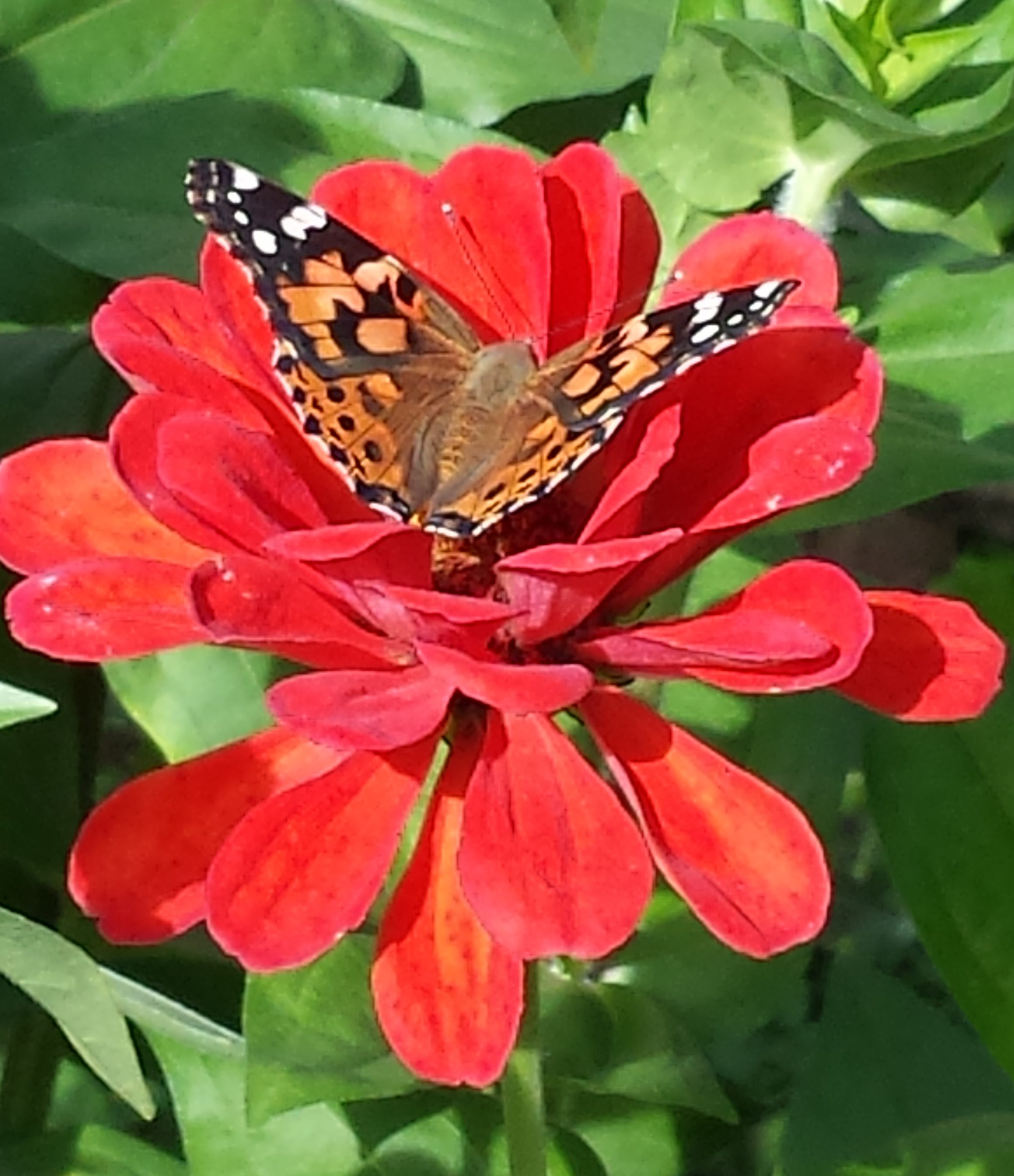 Update on MCCN's Future - MC USA Climate Justice MinistryMC USA Climate ...